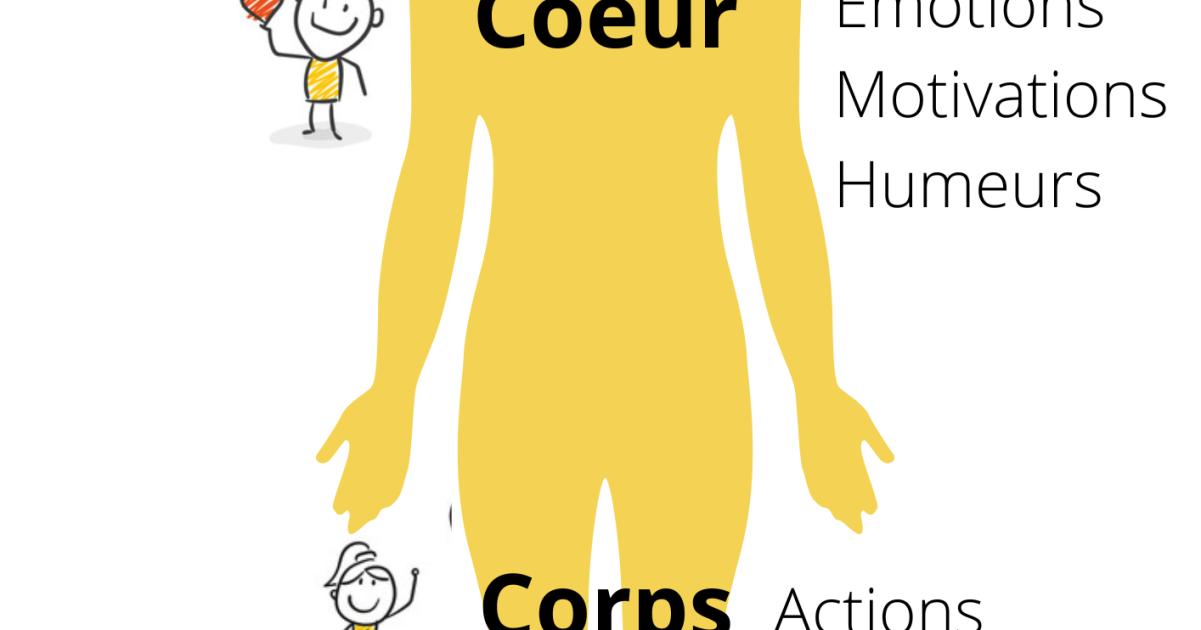 Interpole : Tête, Coeur, Corps.